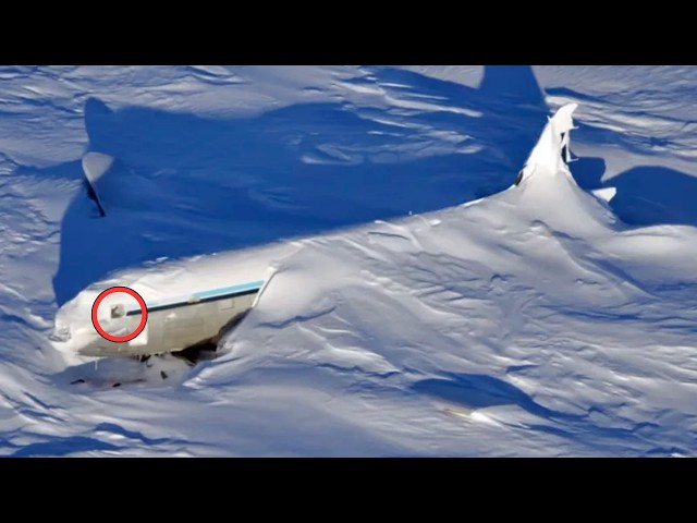 Lost Plane Found After Decades - Researchers... | Open Video
