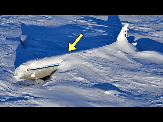 Researchers Find Plane Buried in Arctic Ice Holding Decade-Long Secrets ...