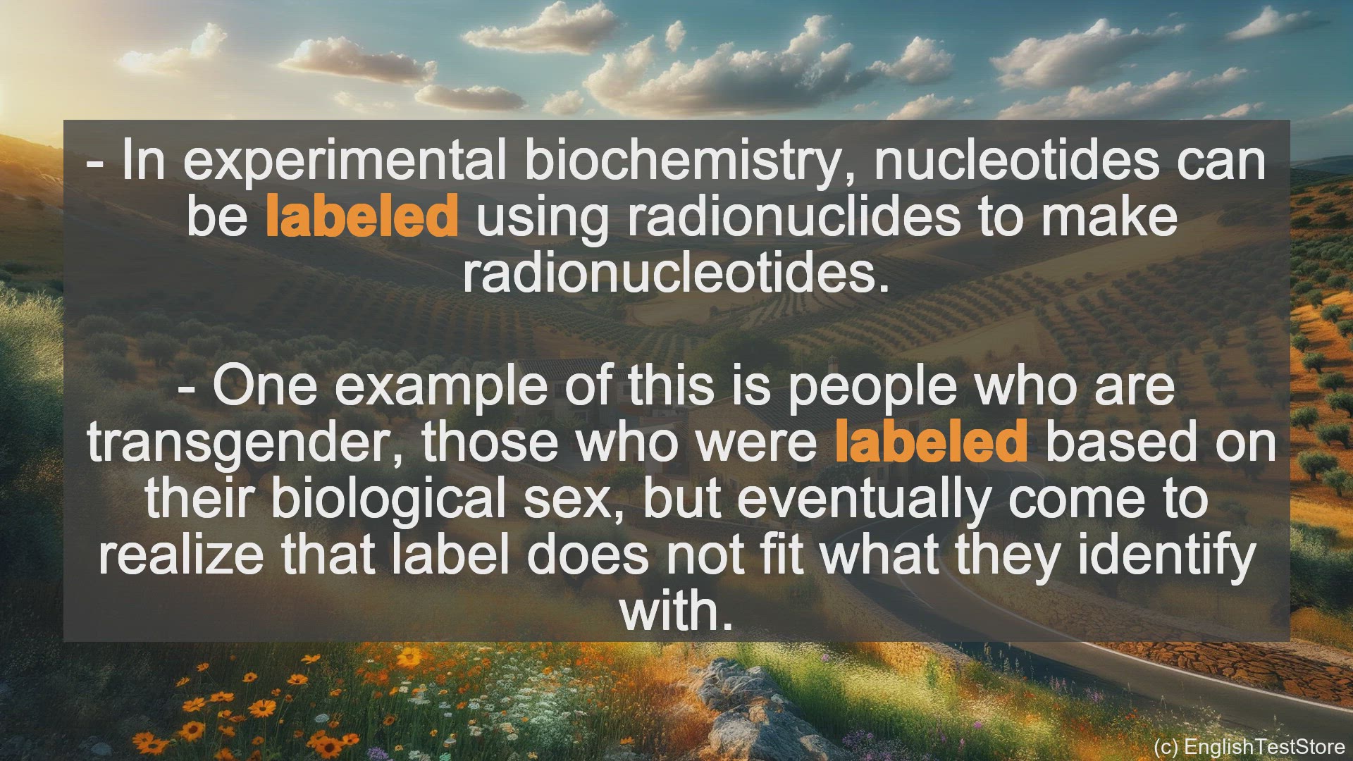 Labeled In Sentences - Examples Of Labeled I... | Open Video