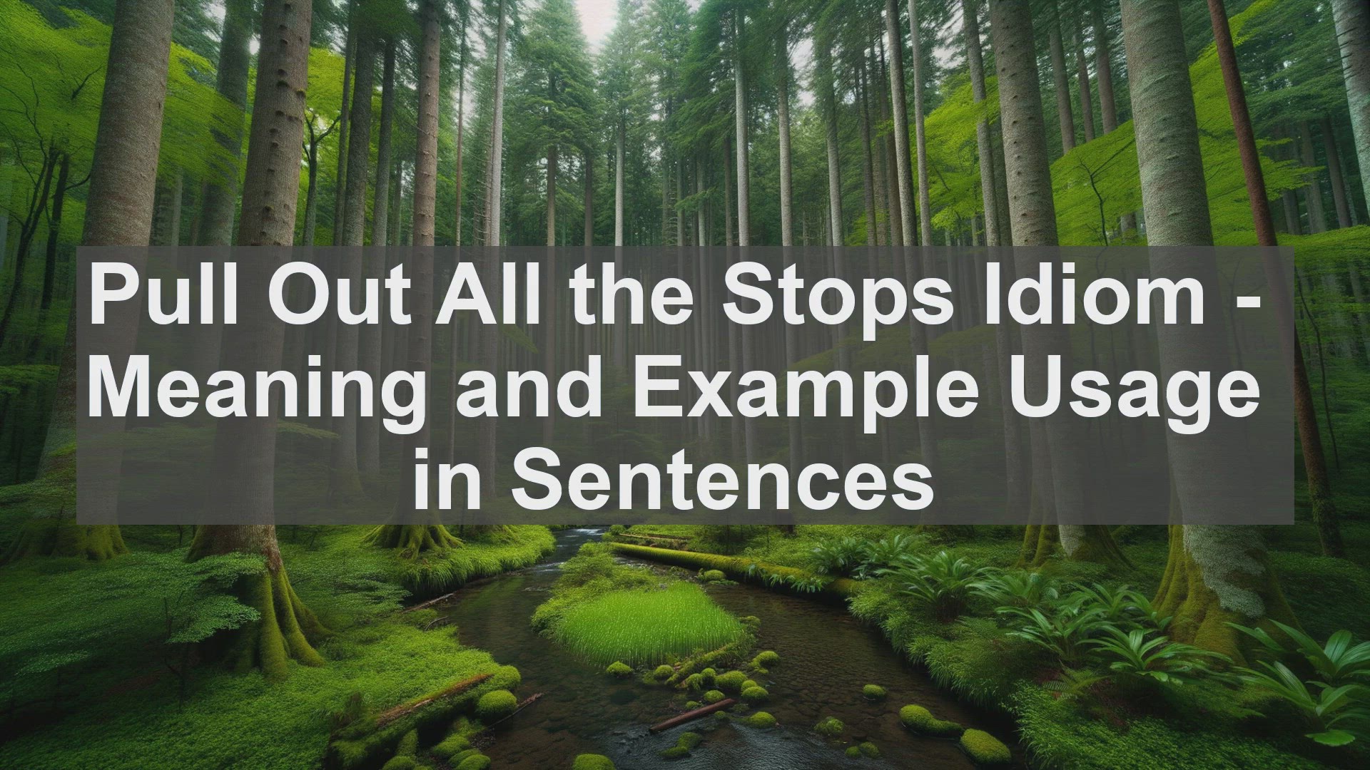 pull-out-all-the-stops-idiom-mean-open-video
