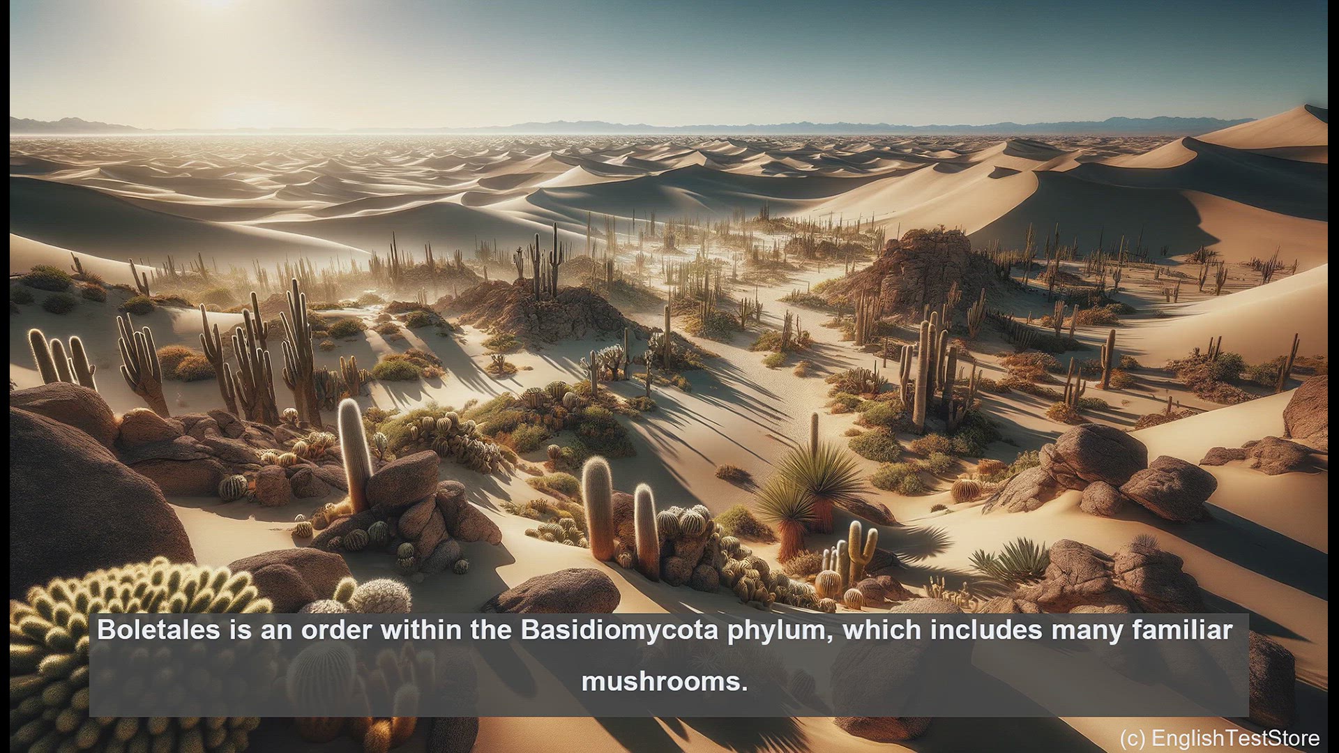 Boletales in biology | Open Video