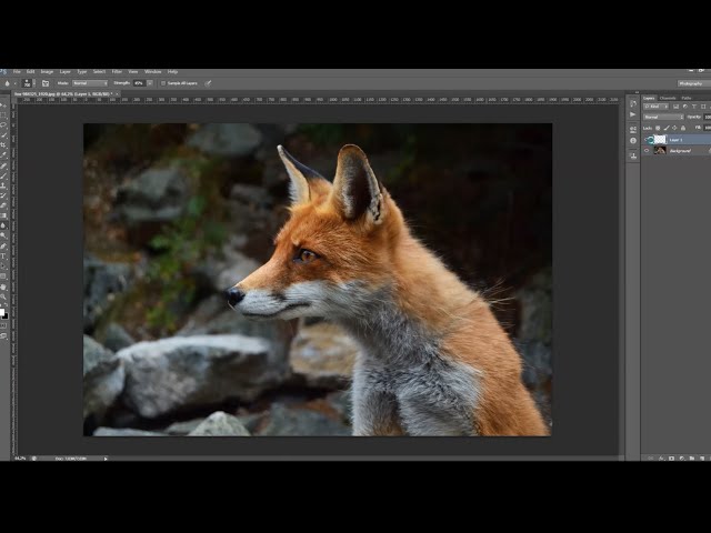 How to Use the Blur and Sharpen Tools in Adobe Photoshop | Open Video