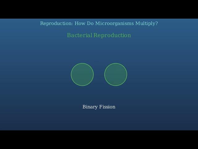 Microbes Explained Bacteria, Algae, Fungi, a... | Open Video