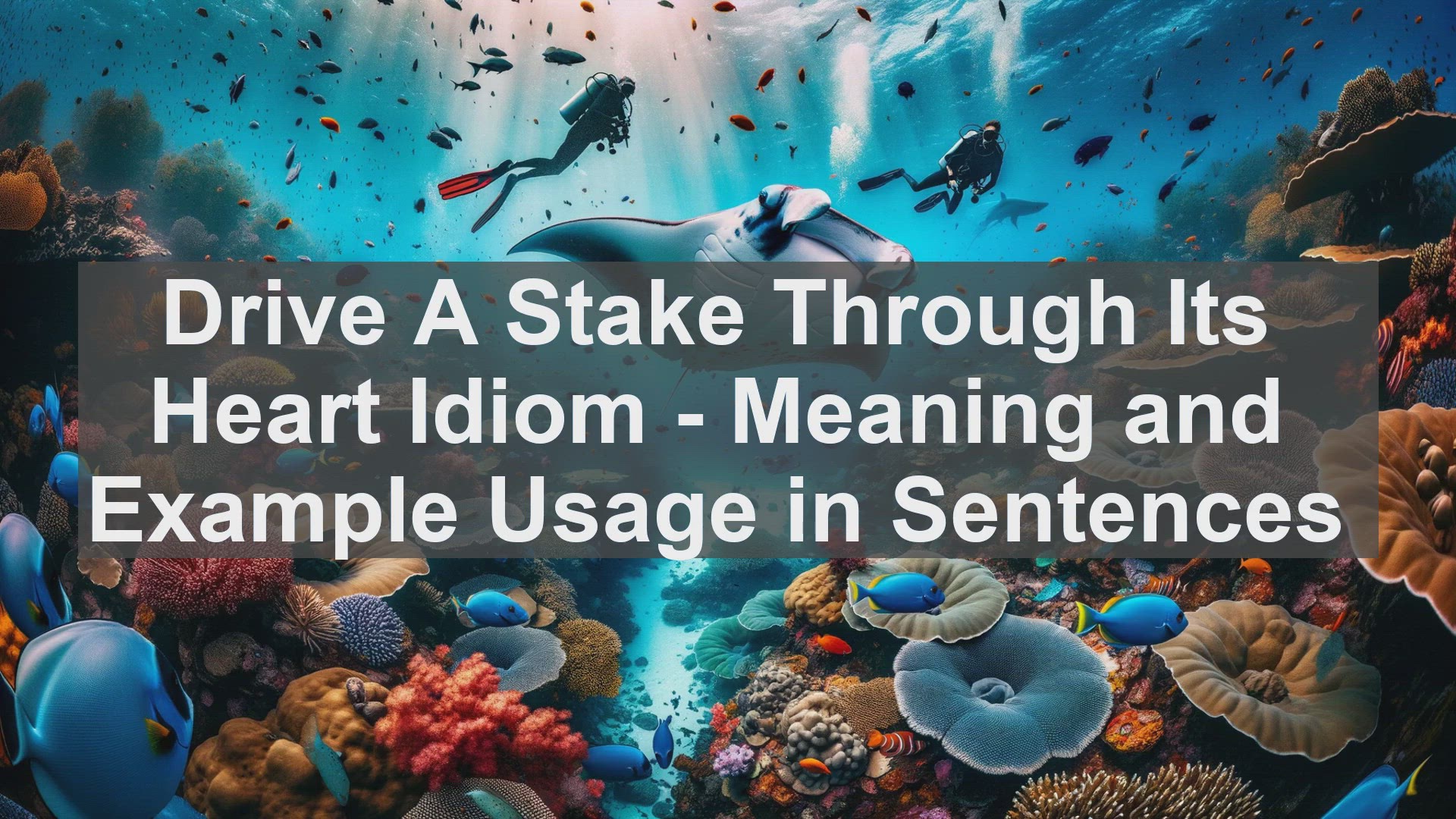 "Drive A Stake Through Its Heart" Id... | Open Video