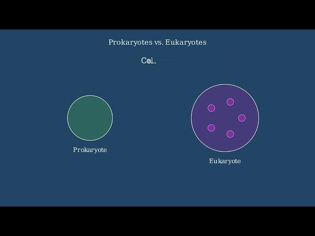 Prokaryotes vs Eukaryotes Animated Comparison | Open Video