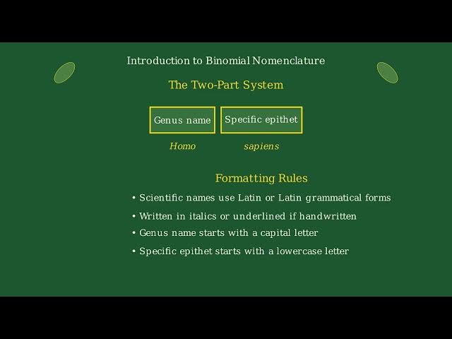 The Binomial Naming System | Open Video