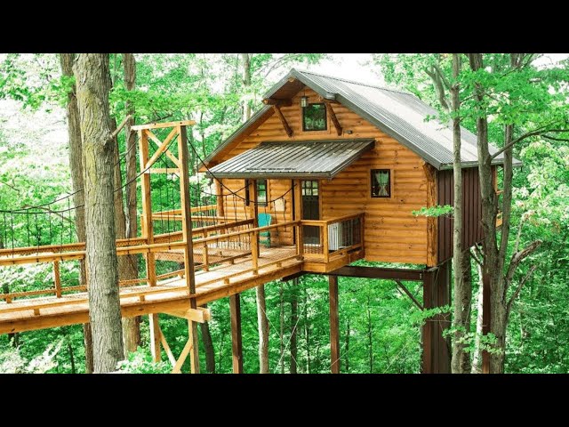 Inside Grandma’s Enchanted Treehouse: A 25-Year Sanctuary | Open Video