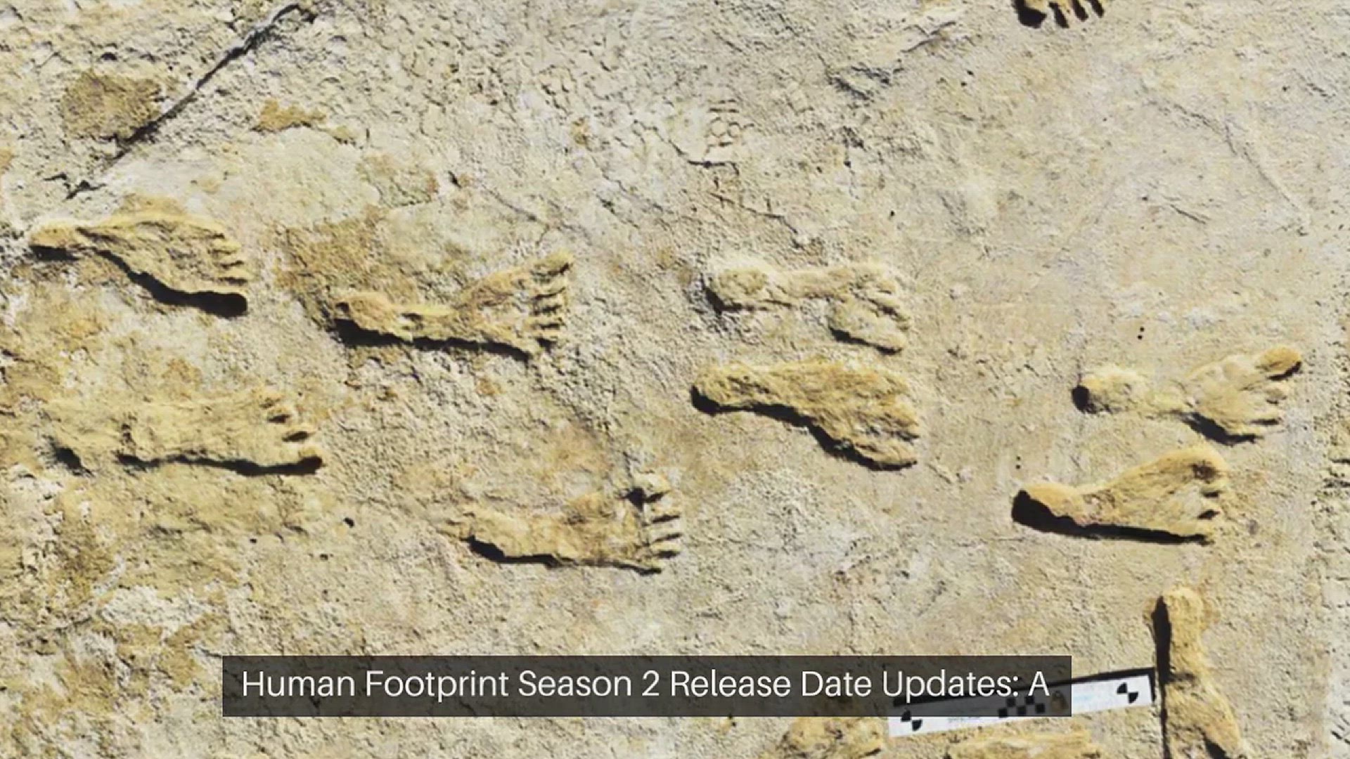 Human Footprint Season 2 Release Date Updates: A Deeper Dive into ...