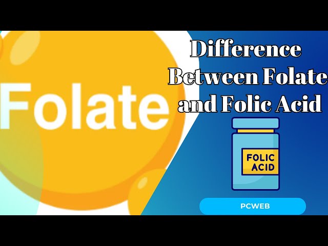 Understanding the Difference Between Folate ... | Open Video