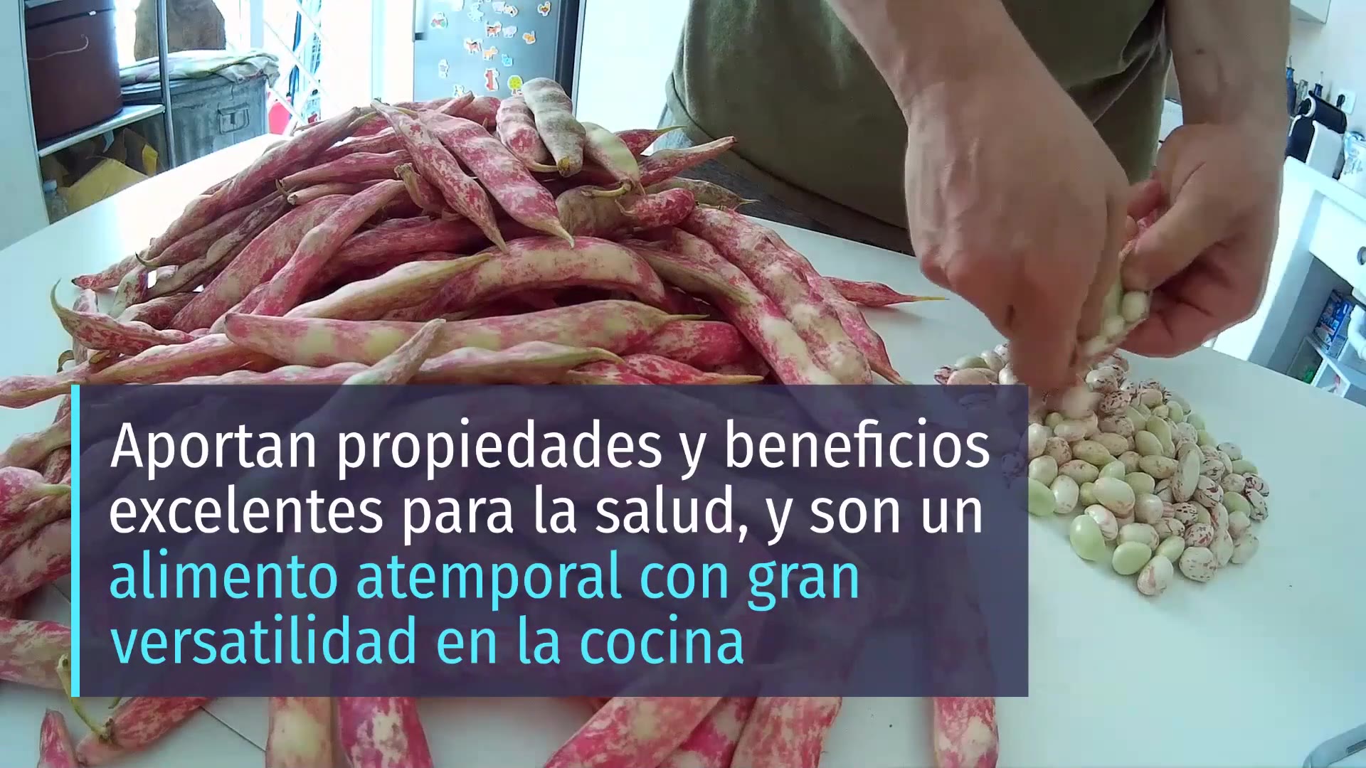 8 Propiedades y Beneficios de las Alubias | Open Video