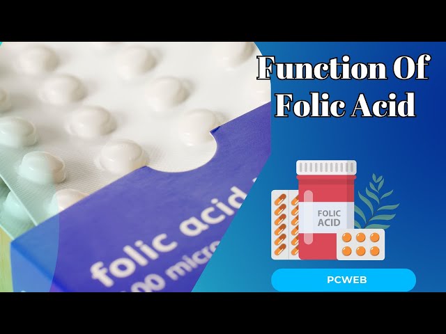 Understanding the Function of Folic Acid in ... | Open Video