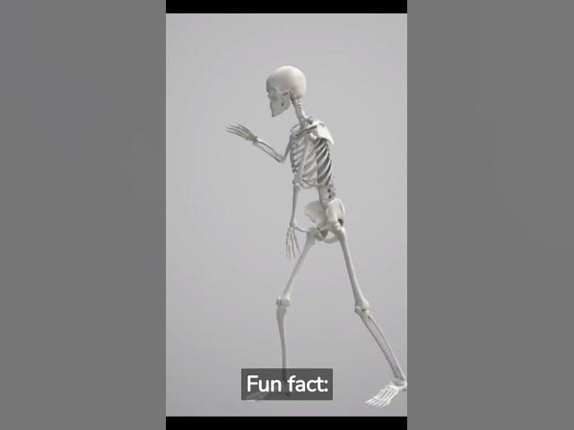 Interesting Facts About Human Body | Open Video