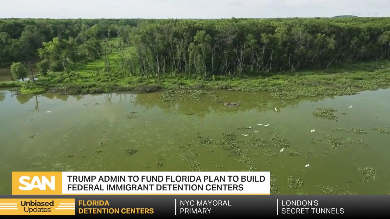 Florida begins building 'Alligator Alcat... | Open Video