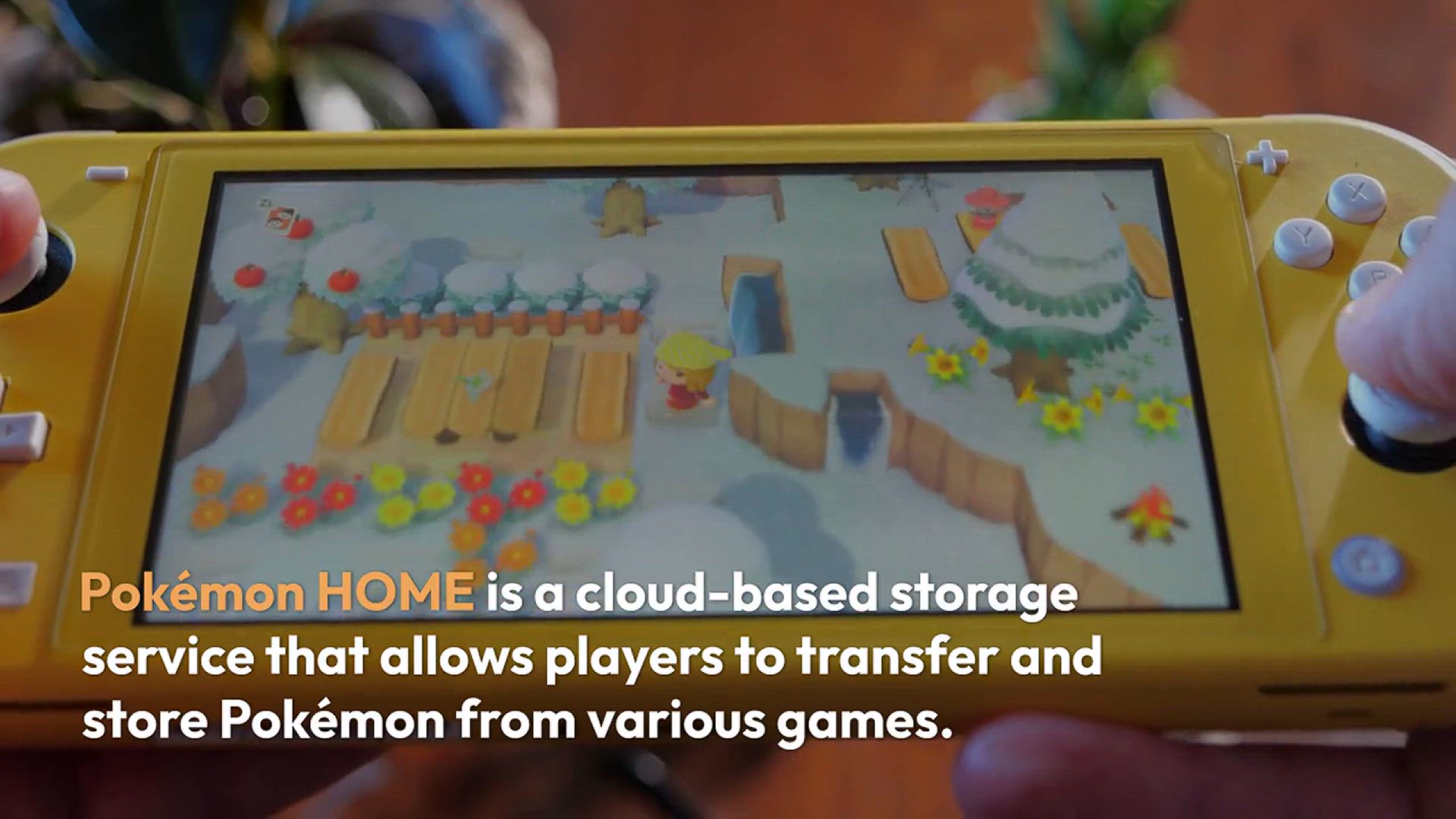 Pok_mon_HOME_Transfer_Tutorial | Open Video