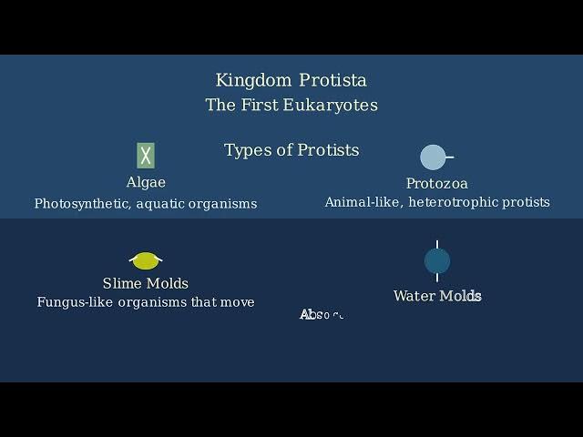 Whittaker's Five Kingdom Classification ... | Open Video
