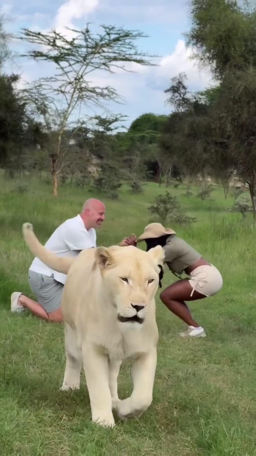 Ashlee Jenae via Instagram: Still taking this in… somewhere in Africa 🦁 ...