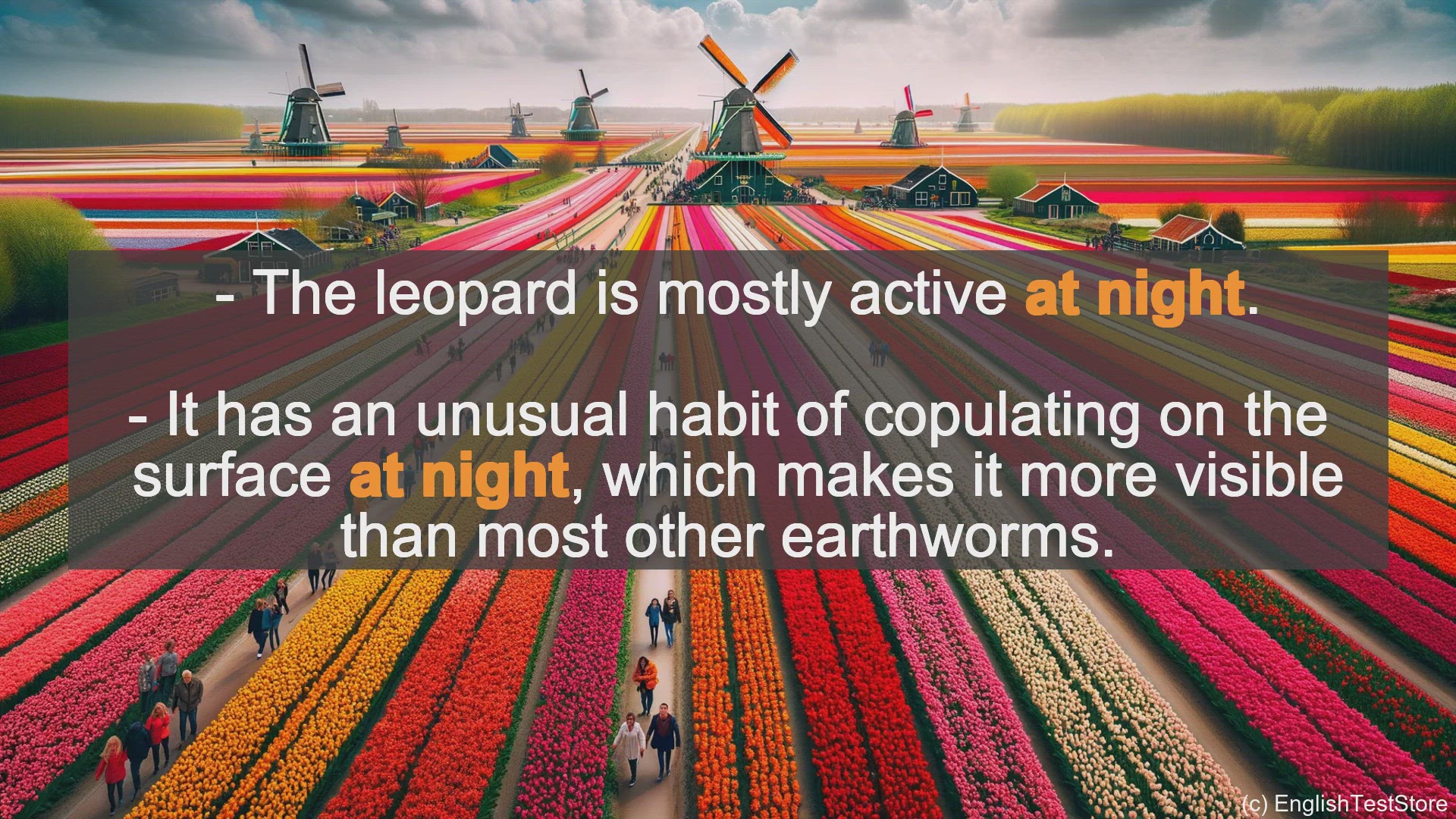 At Night In Sentences - Examples Of At Night... | Open Video