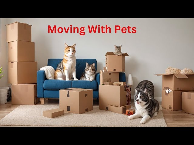 Moving with Pets Checklist: Stress-Free Relocation Tips | Open Video