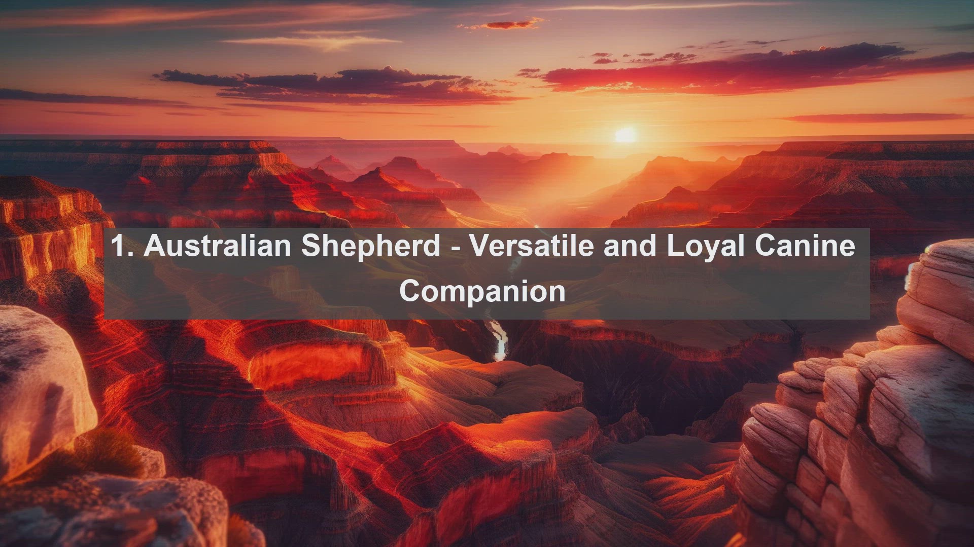 Explore Australia's Best Pet Companions:... | Open Video