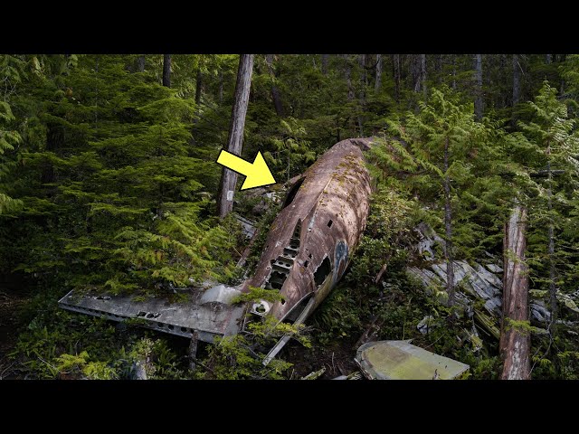 Man Finds Giant Rocket In Forest. He’s Stunned When He Sees What’s ...