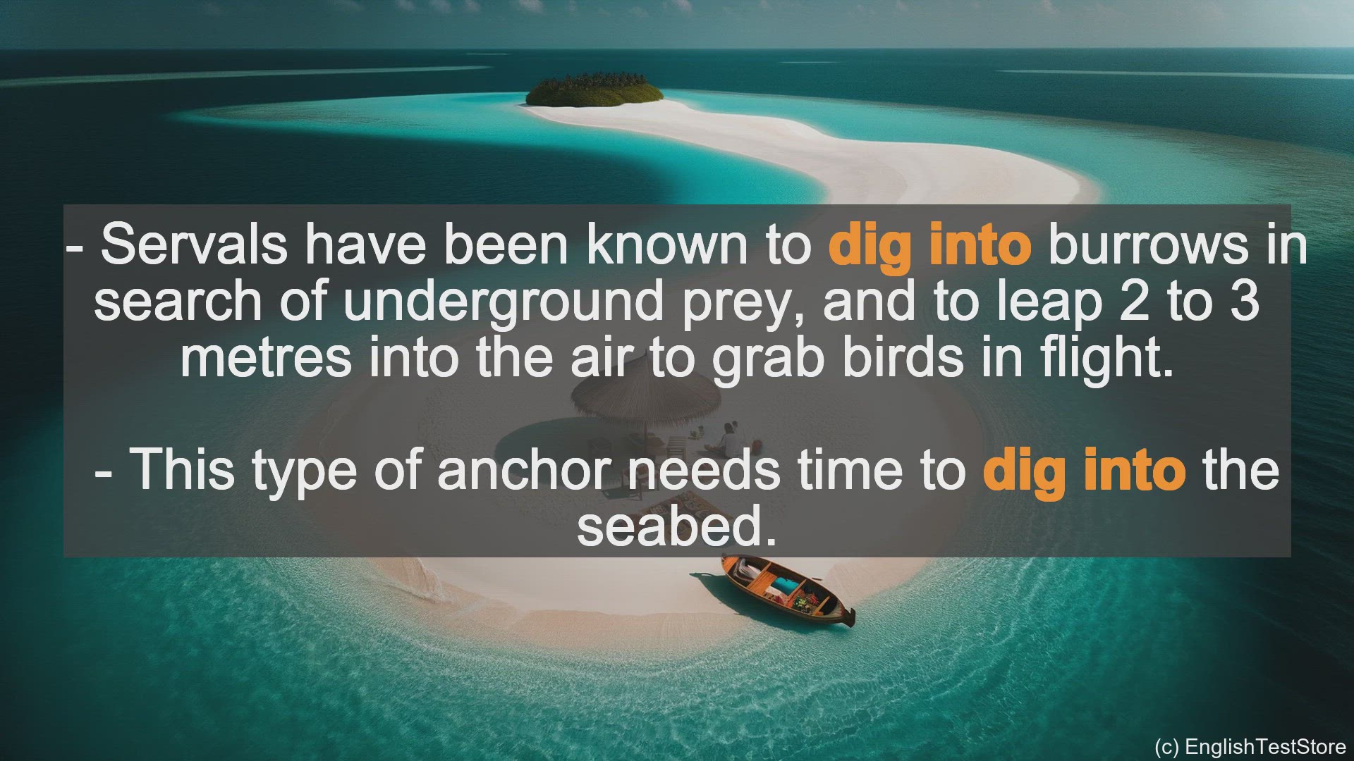 Dig Into In Sentences - Examples Of Dig Into... | Open Video