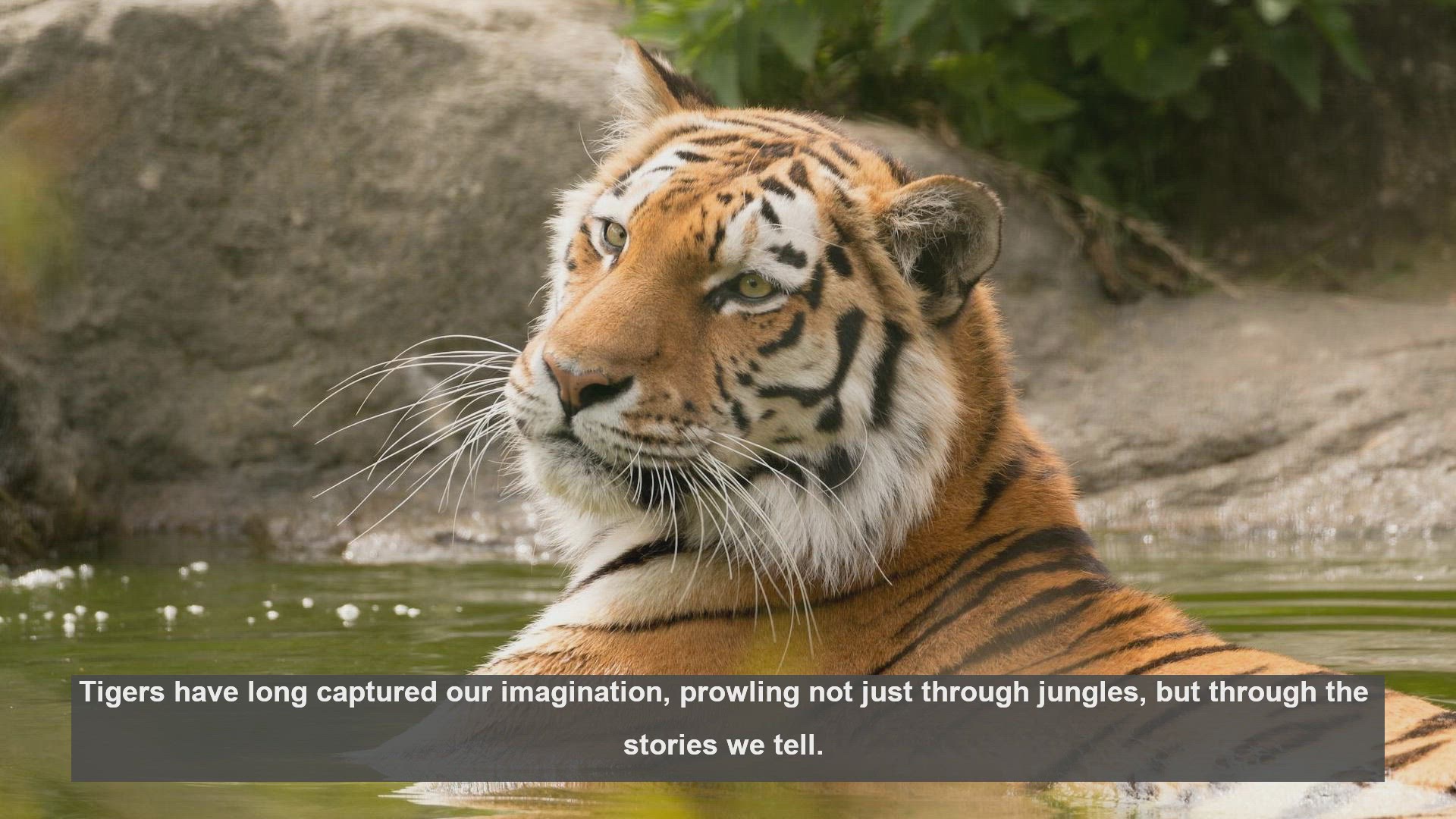 10 Famous Tigers in Modern Pop Culture | Open Video