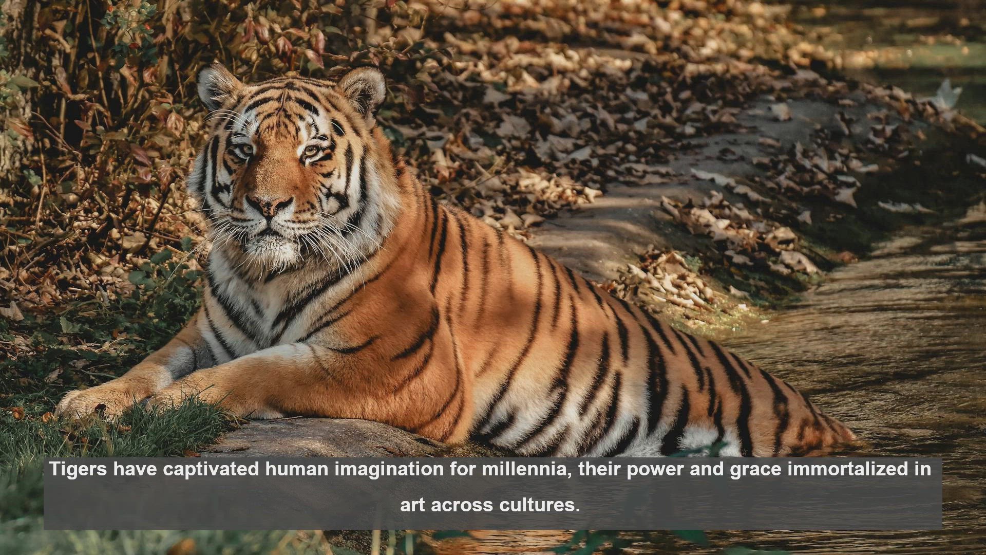 10 Ancient Artworks Featuring Tigers: A Cult... | Open Video