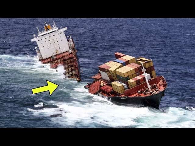 Container Ship Encounters Pirates – But What... | Open Video