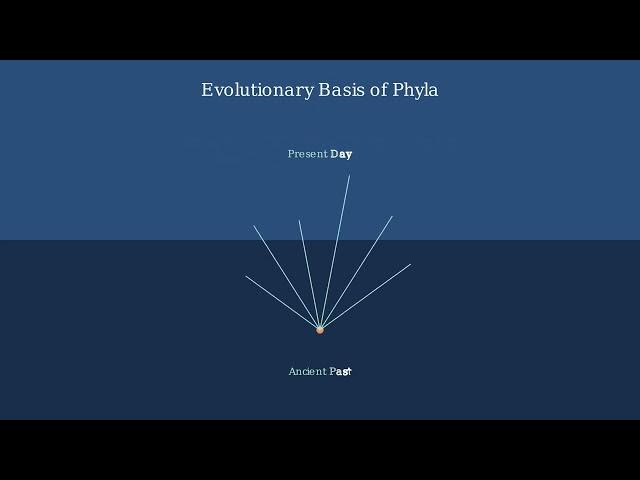 Understanding Phylum - A Biological Classification Explainer | Open Video