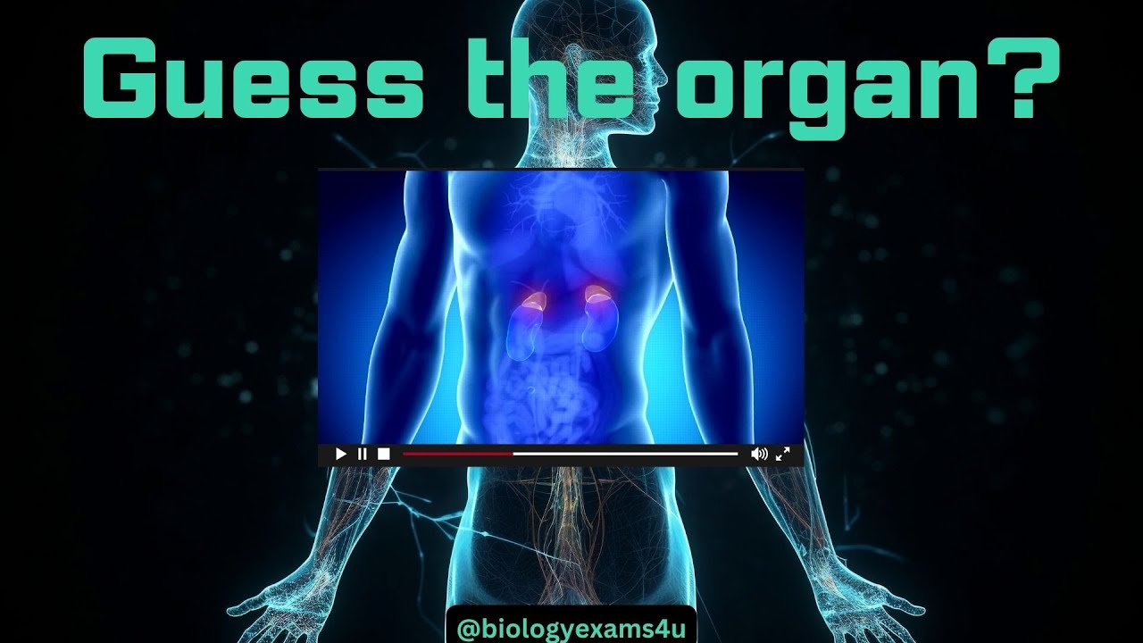 Can you Guess the Organ? Guess the Organ Quiz|| 20 Questions on Organs ...