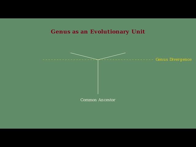 Understanding the Genus Concept | Open Video