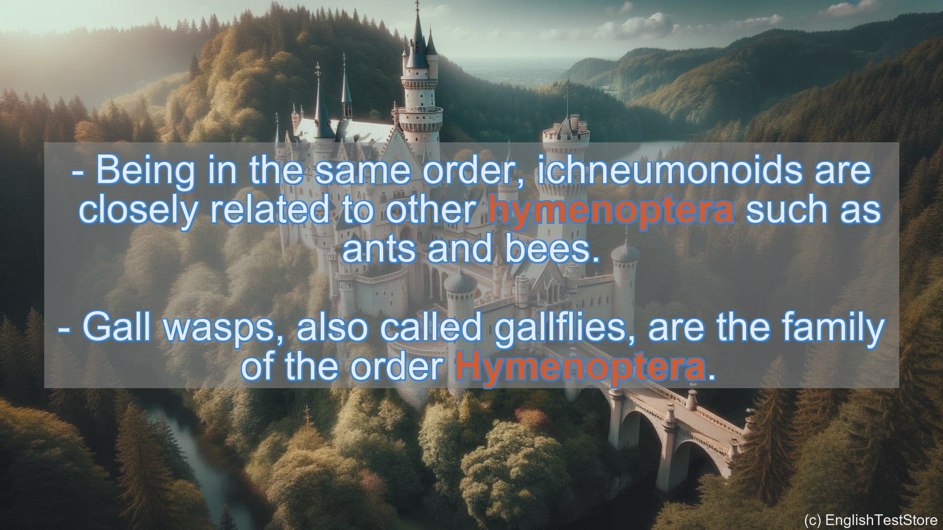 Hymenoptera In Sentences - Example Of Hymeno... | Open Video