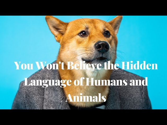 You Won't Believe the Hidden Language of... | Open Video