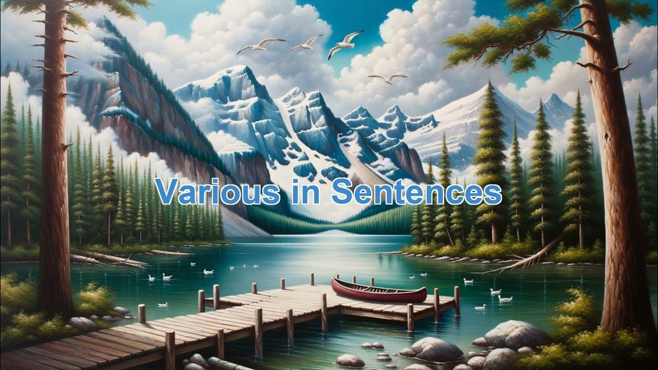 Various In Sentences Example Of Various In... | Open Video
