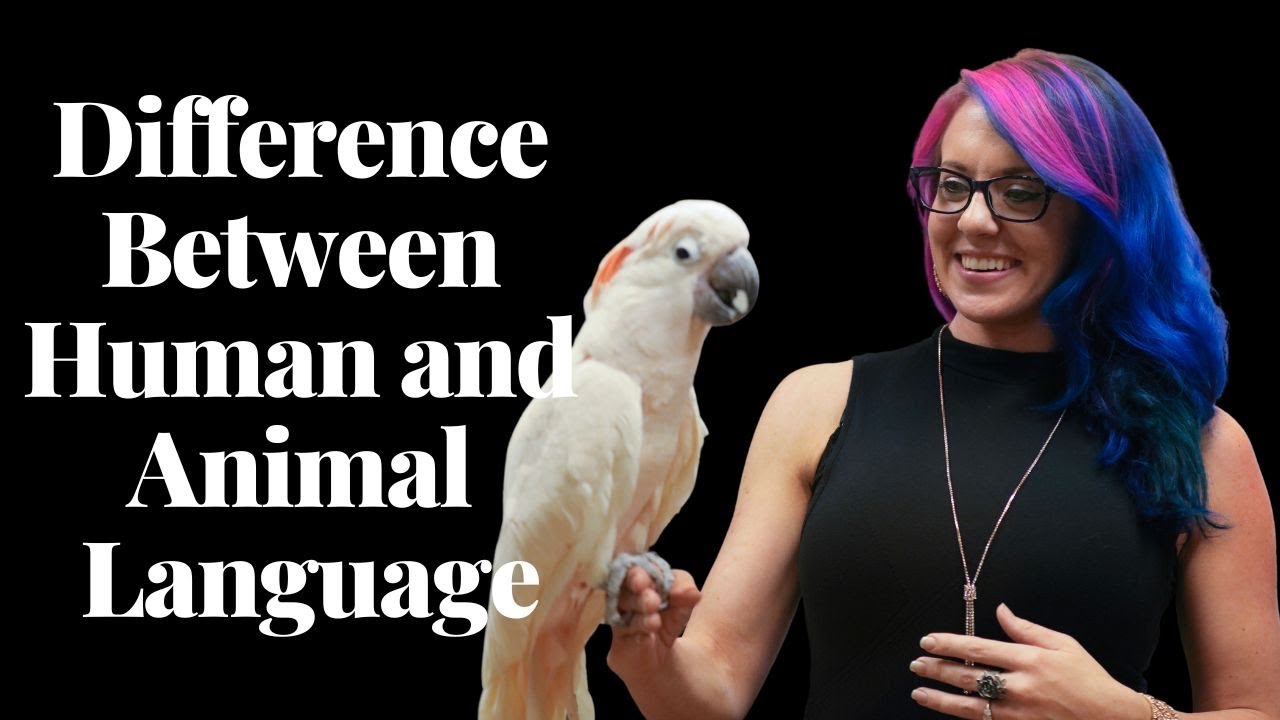 Difference Between Human and Animal Language | Open Video