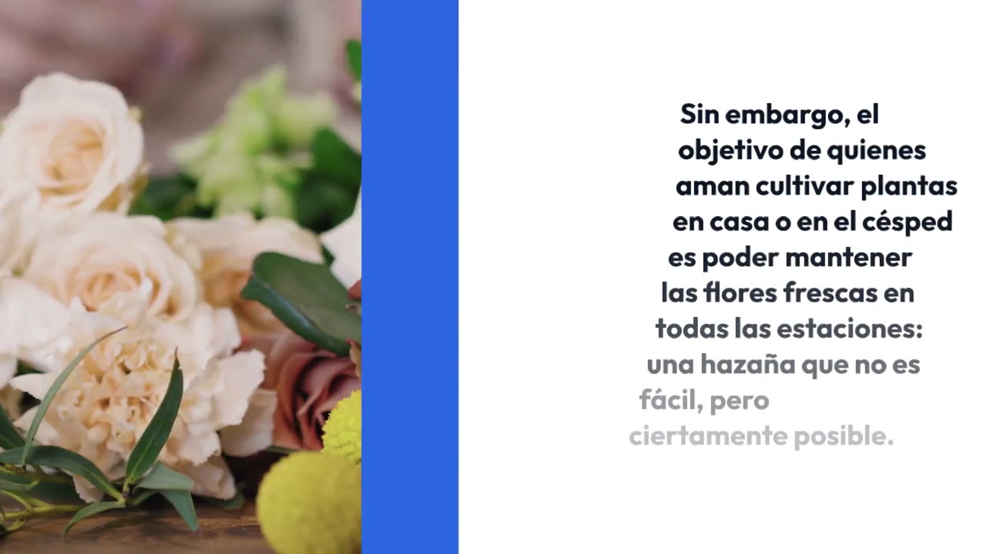 Con esta cápsula todas tus flores se mantend... | Open Video