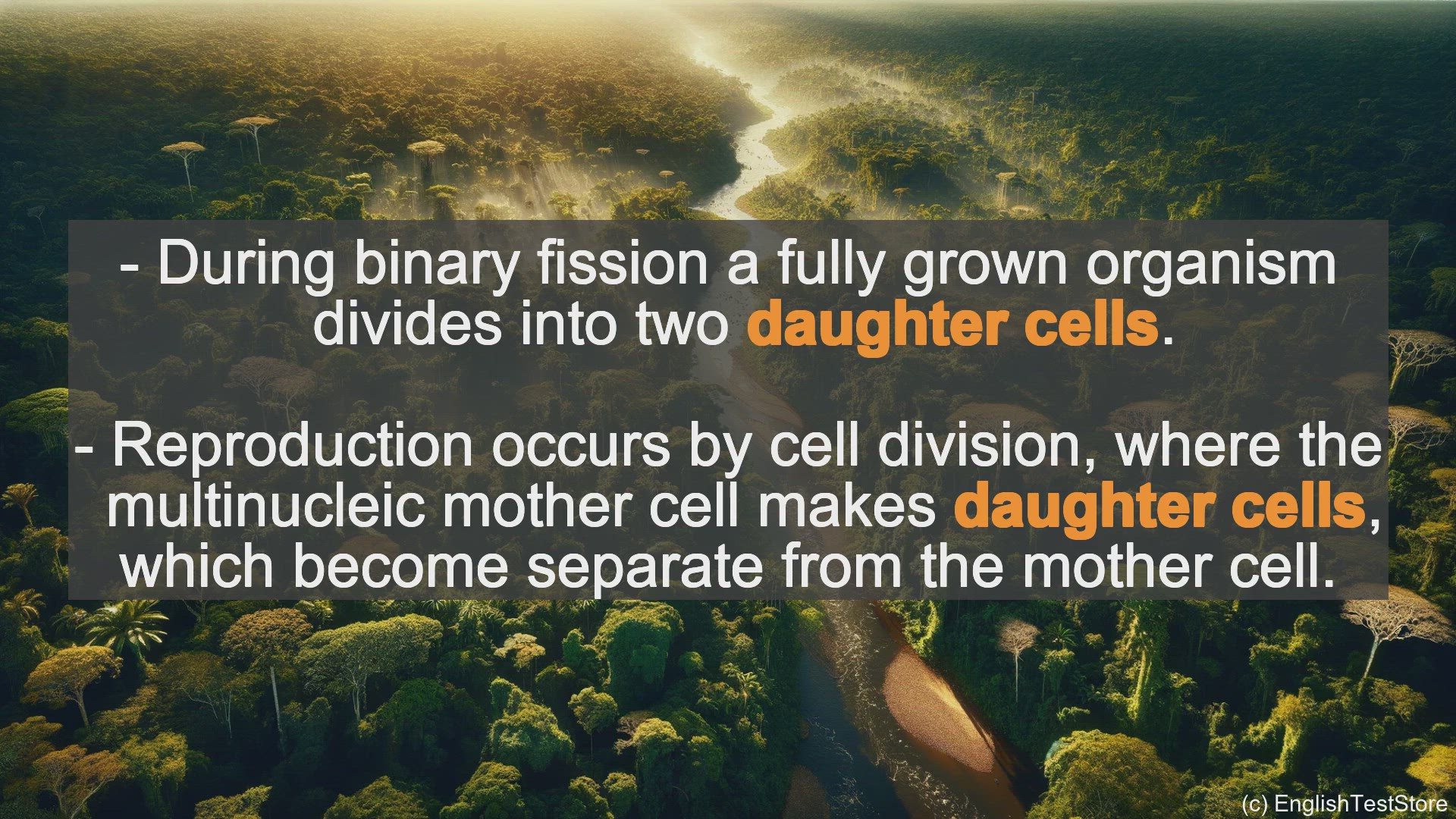 Daughter Cells In Sentences - Examples Of Da... | Open Video