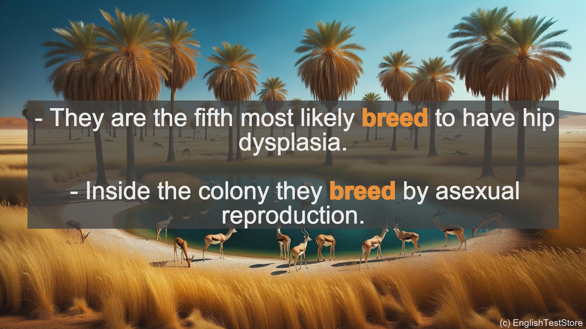 Breed In Sentences - Examples Of Breed In Sentences