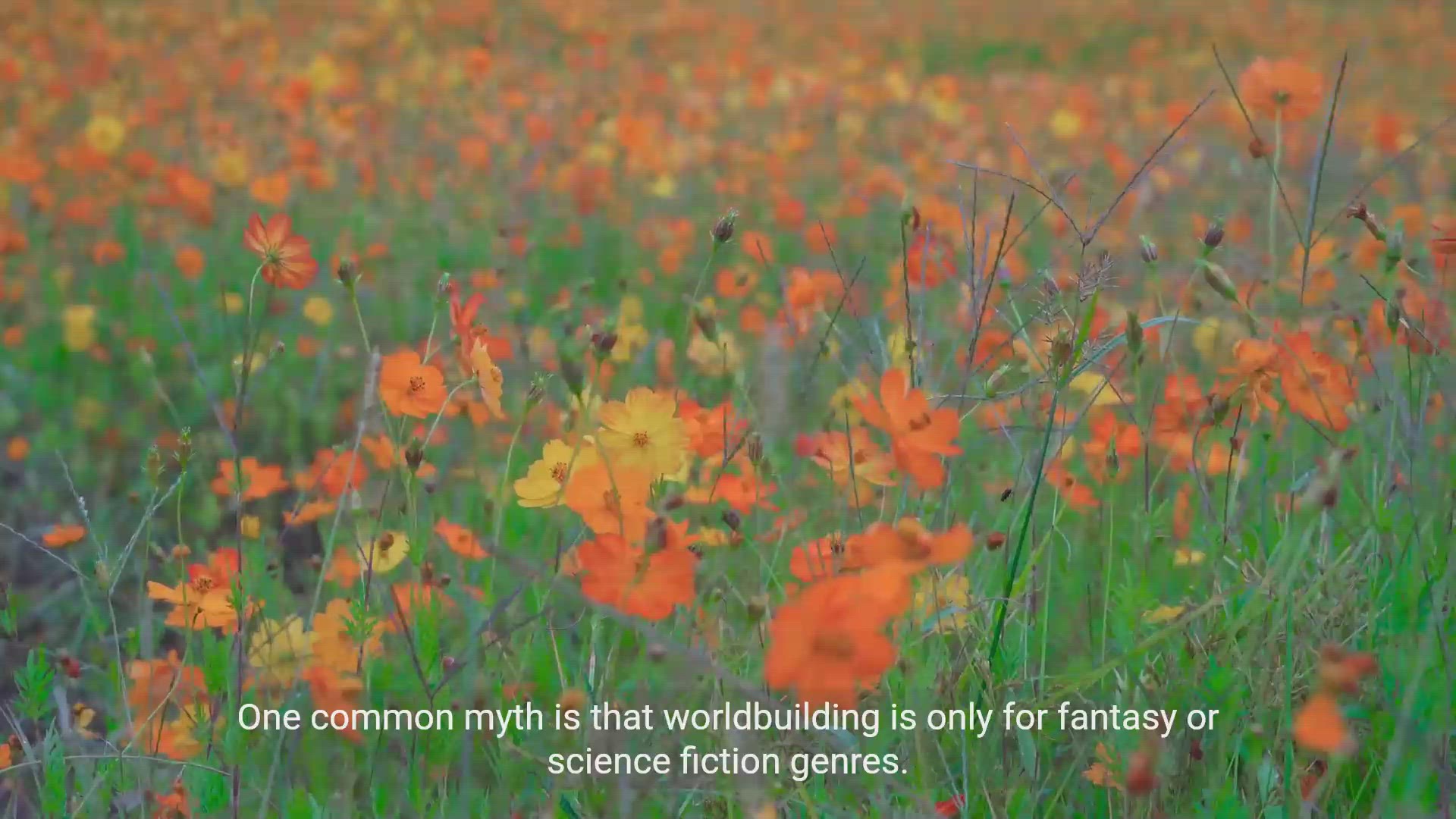 Debunking Myths About Worldbuilding | Open Video