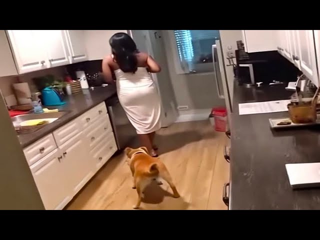 Housekeeper Had No Idea She Was Being Filmed - What Owner Captured Was ...