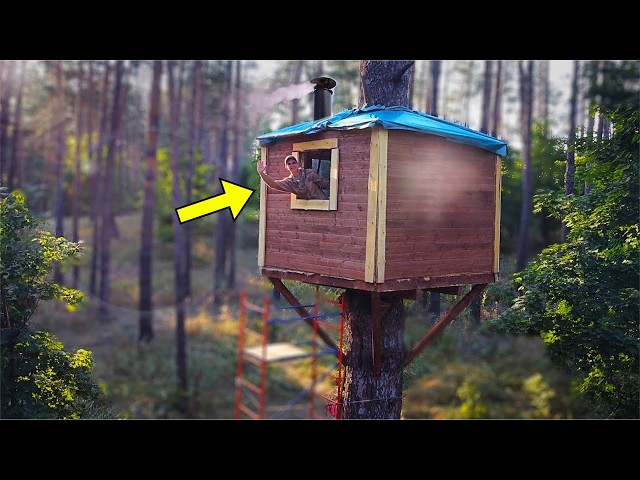 Woman Lives in a Tree House - Don’t Judge Until You See The Inside ...
