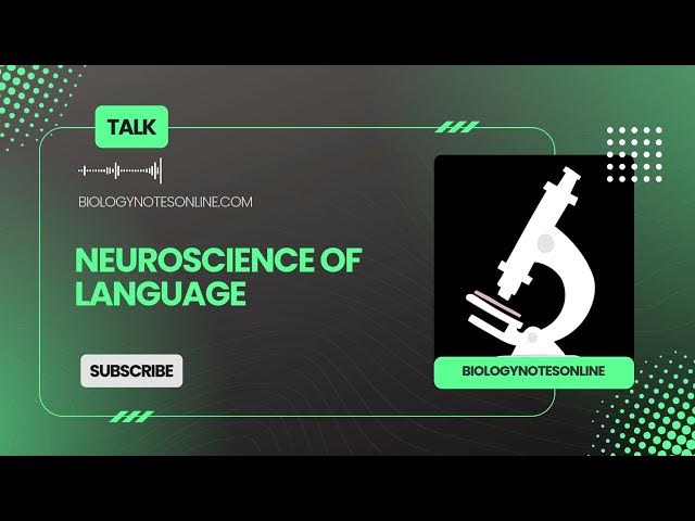 Neuroscience of language | Open Video
