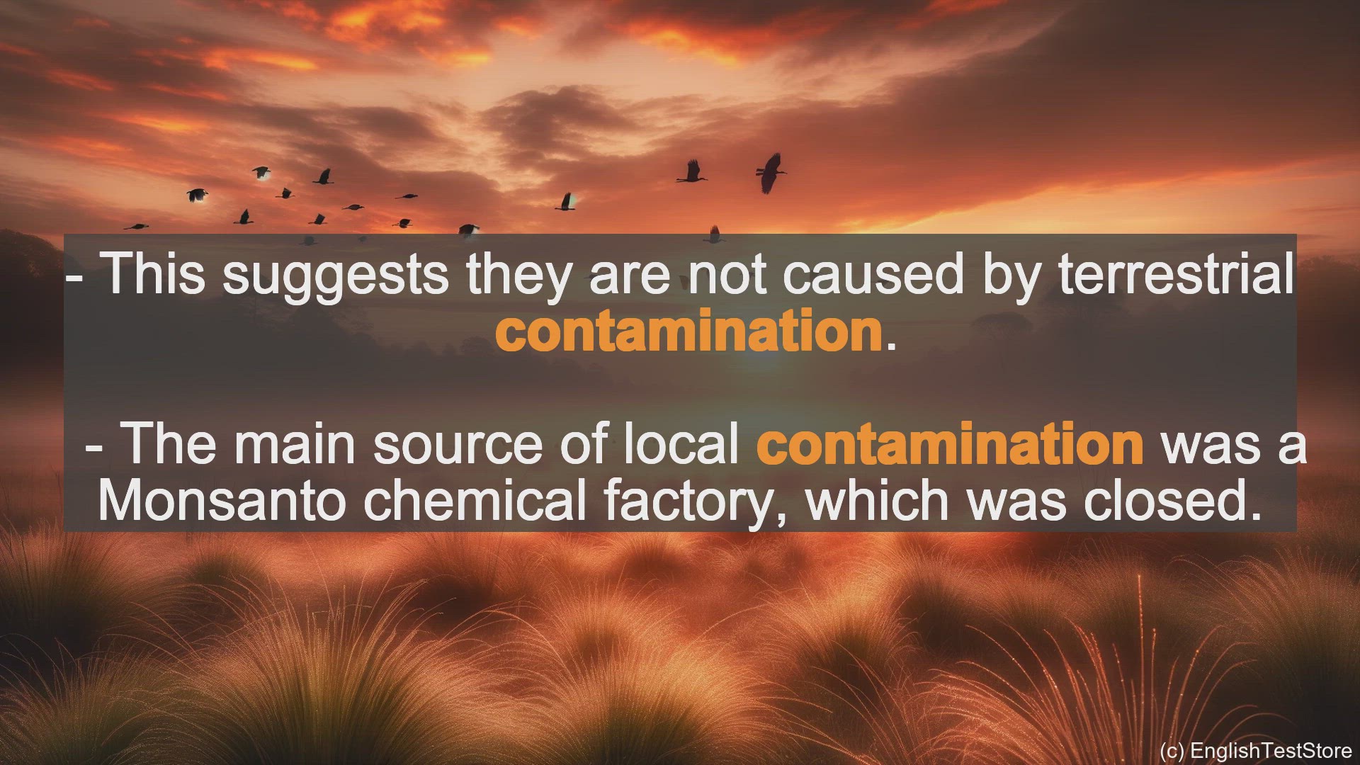 Contamination In Sentences - Examples Of Con... | Open Video