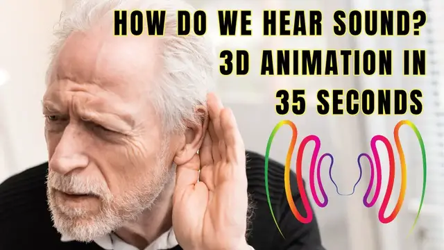 How Do We Hear? | How the Ear Works?| 3D Animation in 35 Seconds ...