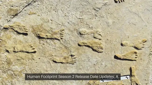 Human Footprint Season 2 Release Date Updates: A Deeper Dive into ...