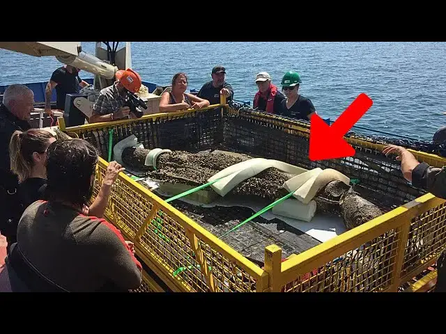 A Mini Sub Uncovered A Mysterious Object From Lake Ontario , Scientist ...